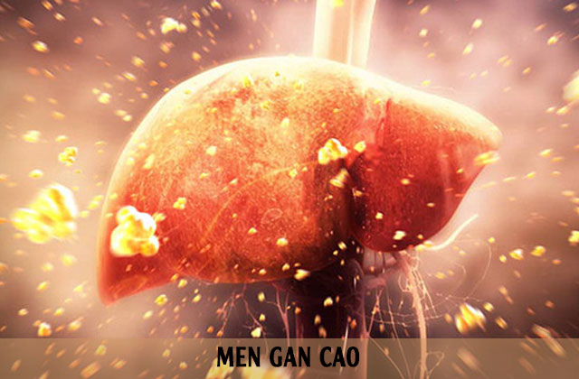 Men gan cao: triệu chứng, nguyên nhân và cách điều trị